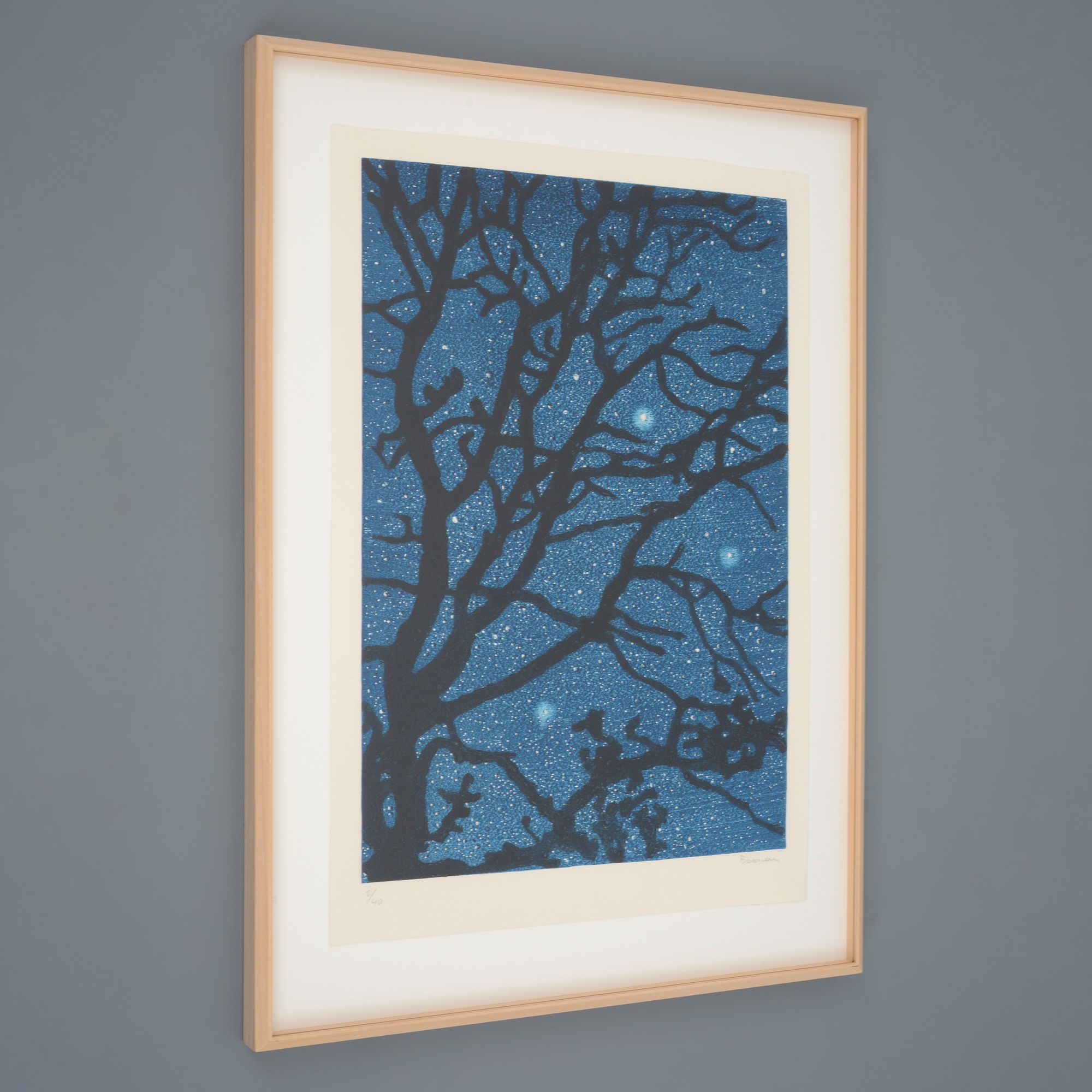 Richard Bosman | Richard Bosman NIGHT LACE Etching | MutualArt