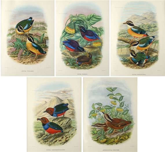 William Matthew Hart | Serie di cinque litografie con uccelli | MutualArt