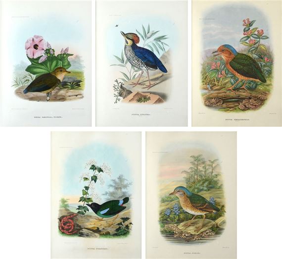 William Matthew Hart | Serie di cinque litografie con uccelli | MutualArt