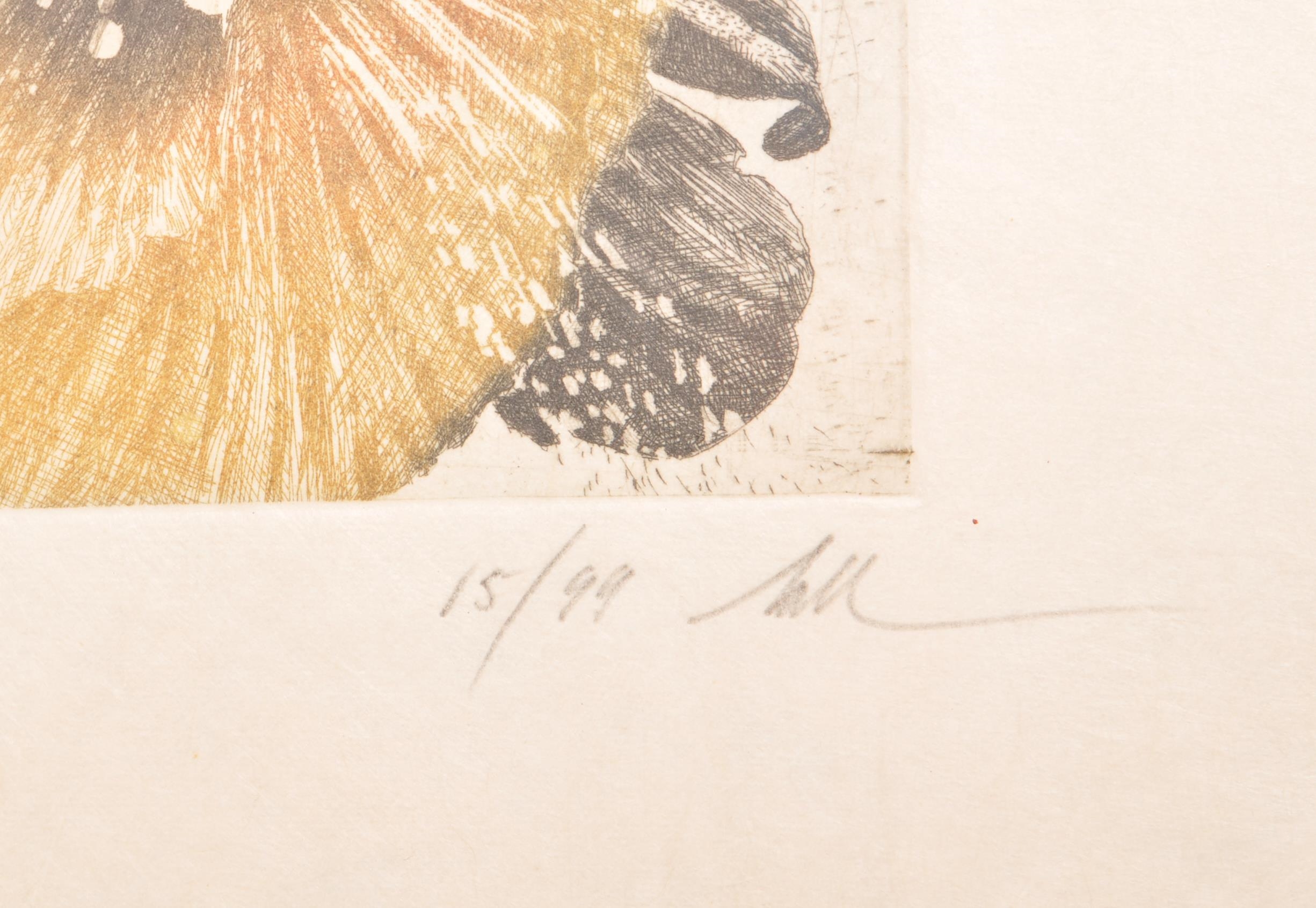 Fred Nall Hollis | Pansy | MutualArt