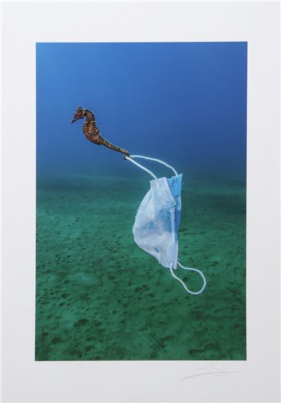 Nicholas Samartis | 1 Artworks | MutualArt