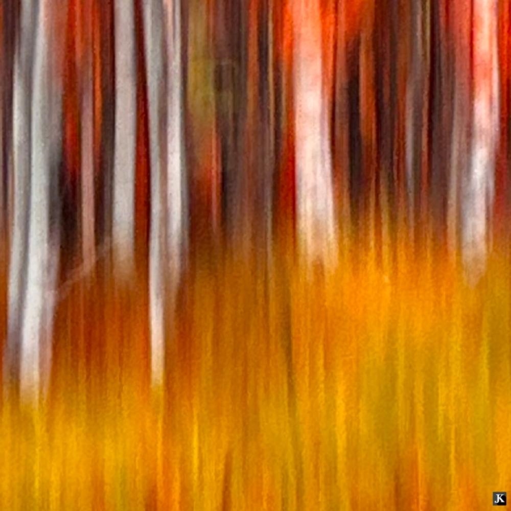 Peter Lik | Vibrance | MutualArt