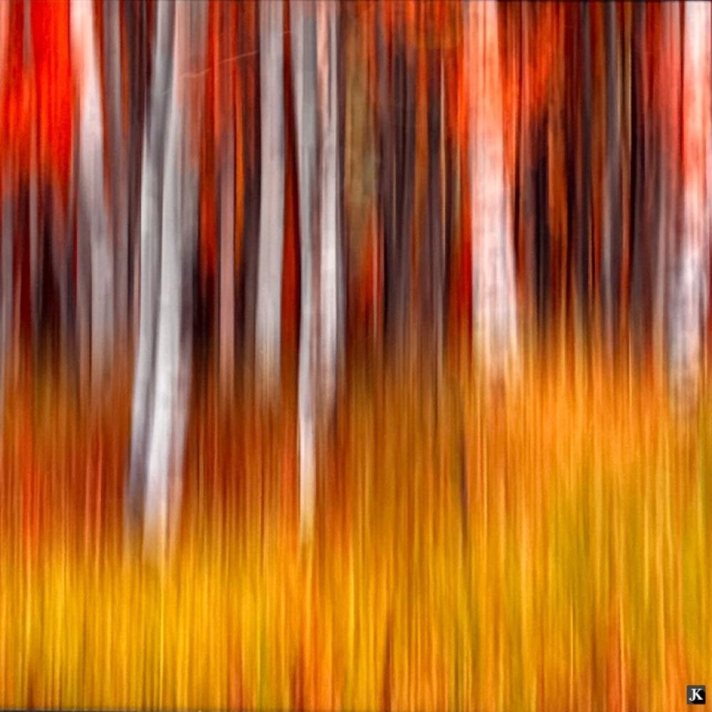 Peter Lik | Vibrance | MutualArt