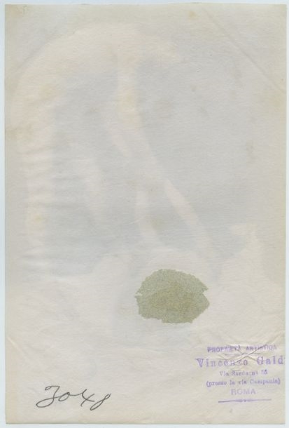 Vincenzo Galdi | Vincenzo GALDI (1871-1961). Nude Study, circa 1900 ...