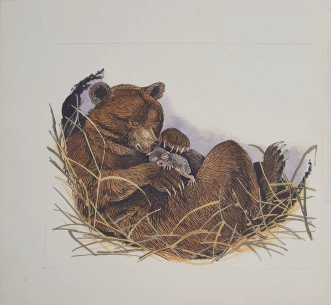 Patrick Oxenham | The Birth Original (1977) | MutualArt