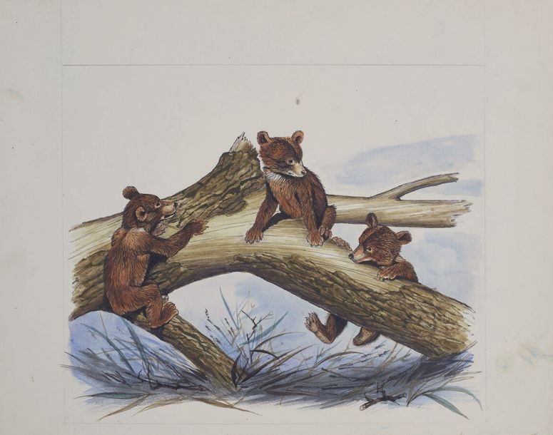 Patrick Oxenham | Teddy bears playing Original (1977) | MutualArt