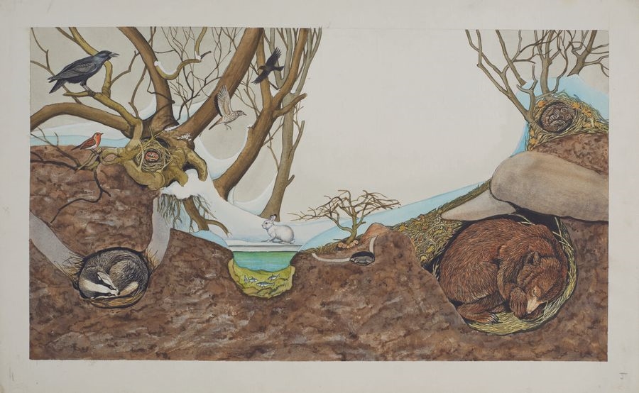 Patrick Oxenham | Hibernating Bear Original (1977) | MutualArt