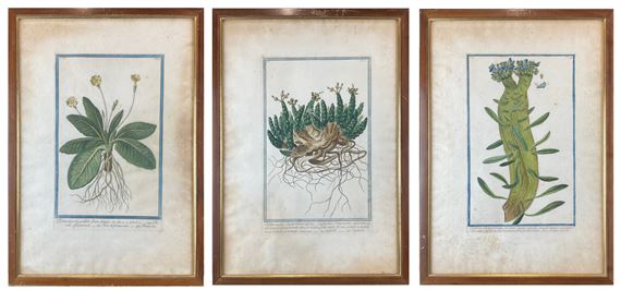 Giorgio Bonelli | Hortus Romanus | MutualArt