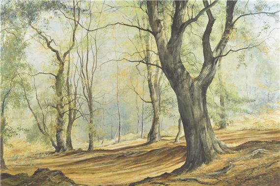 Mervyn Goode | The Beech Tree, a Woodland Slope, Autumn, Odiham Wood ...