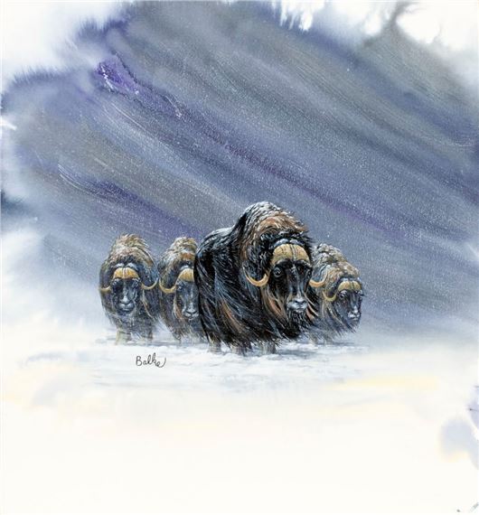 Don Balke | Tundra Muskox (2003) | MutualArt