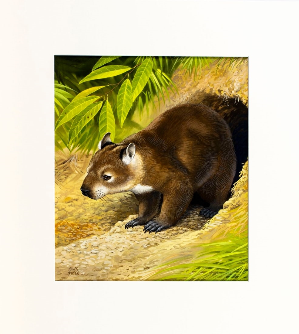 Chuck Ripper | Queensland Hairy-nosed Wombat (1992) | MutualArt