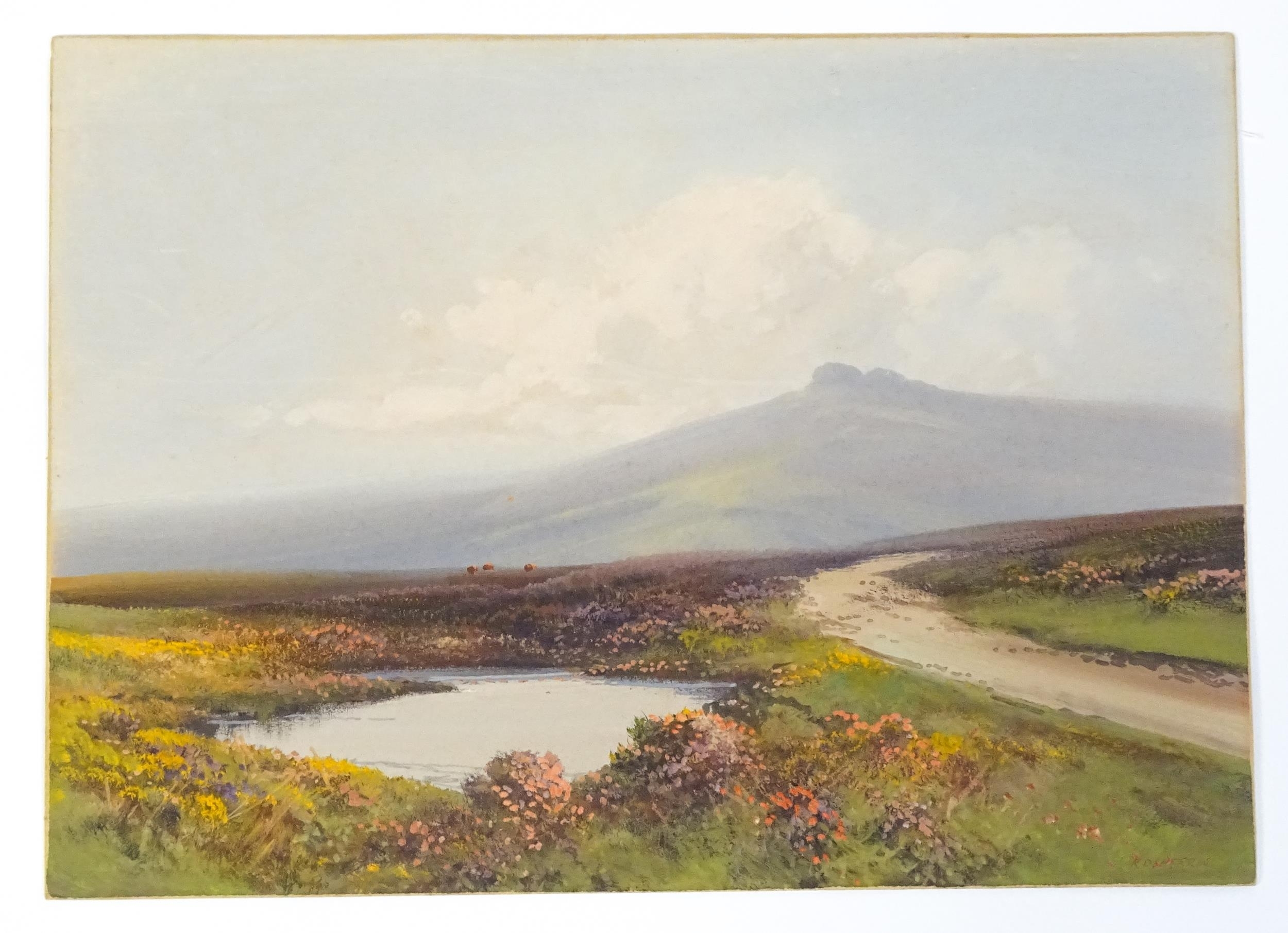 Reginald Daniel Sherrin | A Dartmoor landscape | MutualArt