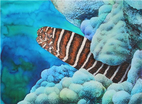 Chris Calle | Zebra Moray Swimming in Coral | MutualArt