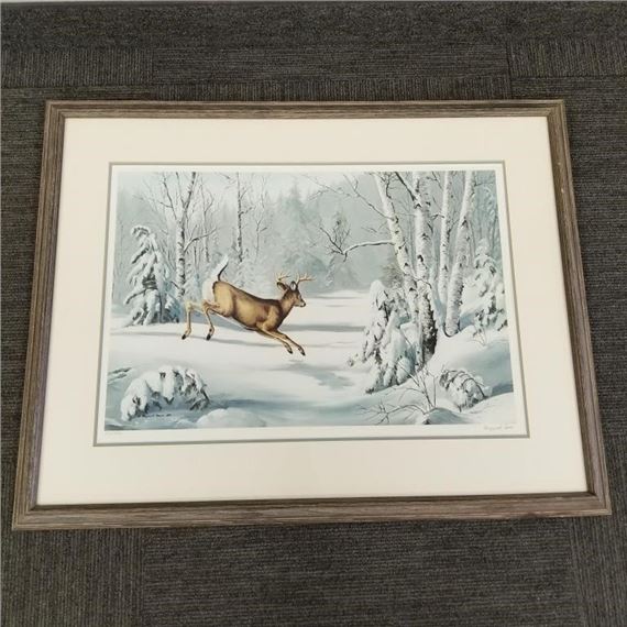 Maynard Reece | White tailed deer | MutualArt