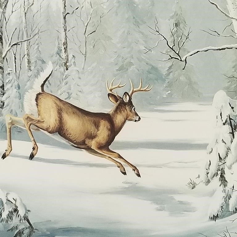 Maynard Reece | White tailed deer | MutualArt