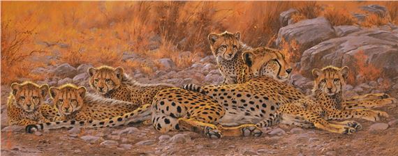 Kim Donaldson | CHEETAH FAMILY | MutualArt