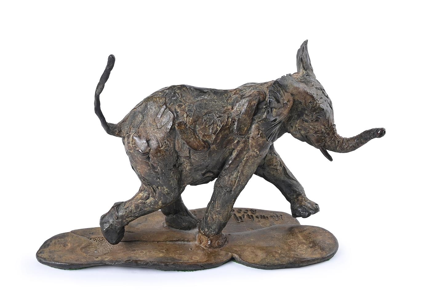 Hamish Mackie | ELEPHANT CALF (2009) | MutualArt