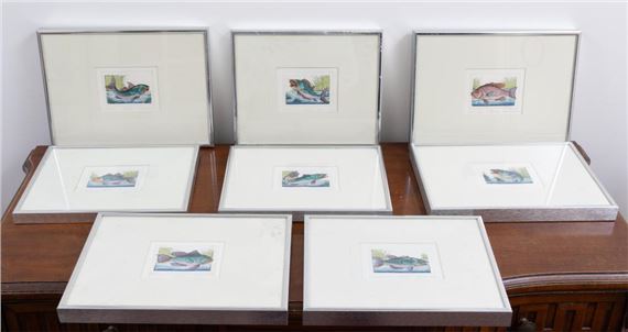 Dan Mitra | Eight various Fish | MutualArt