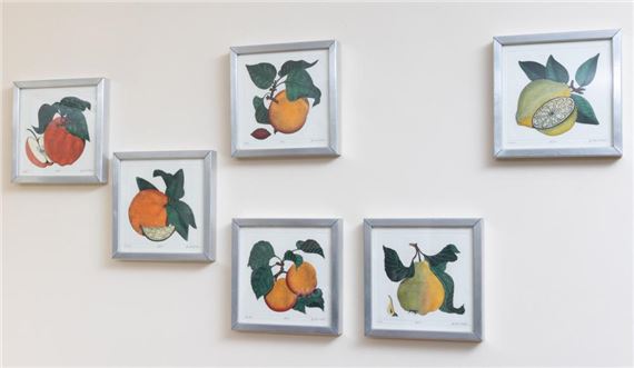 Dan Mitra | six hand coloured fruit studies | MutualArt