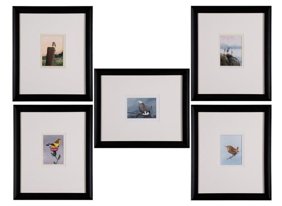 Roy Elmer | Biography