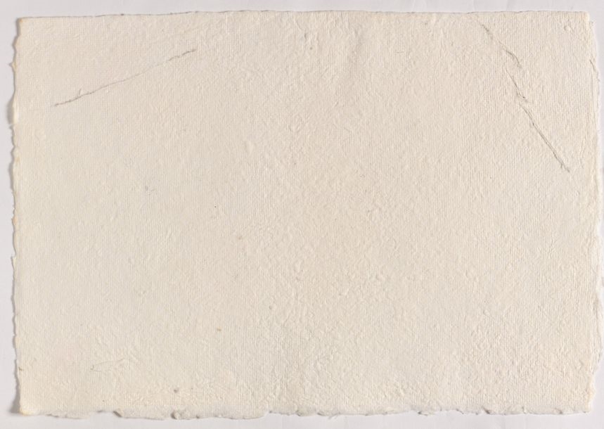 Vera Molnár | Incised Sainte-Victoire (1) | MutualArt