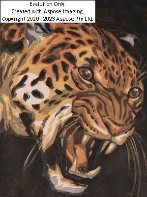 Norbertine von Bresslern-Roth | Norbertine Bresslern-Roth (1922 ...