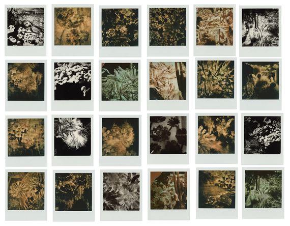 Anna Ridler | Long Short Term Memories (sketches from a garden in ...