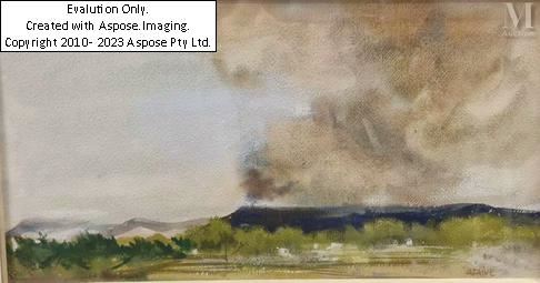 Annette Faive-fontanarosa | L'incendie en Provence (1939) | MutualArt