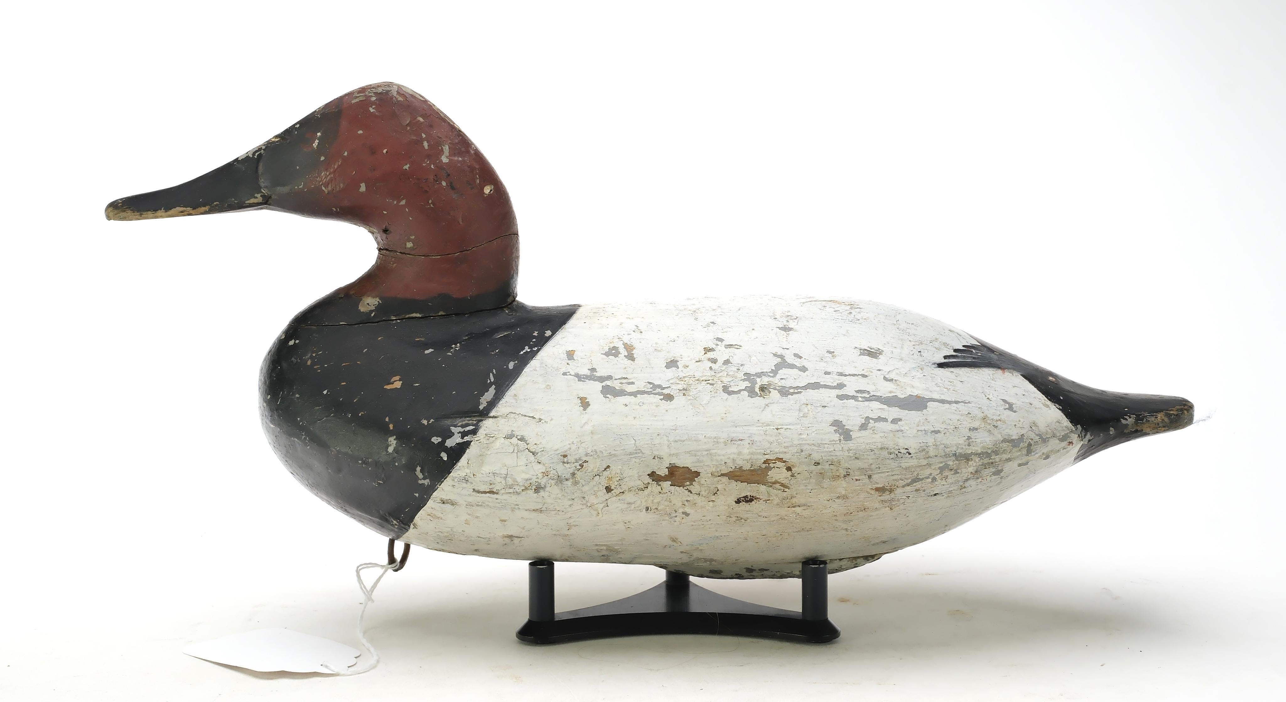 Scott Jackson | Canvasback | MutualArt