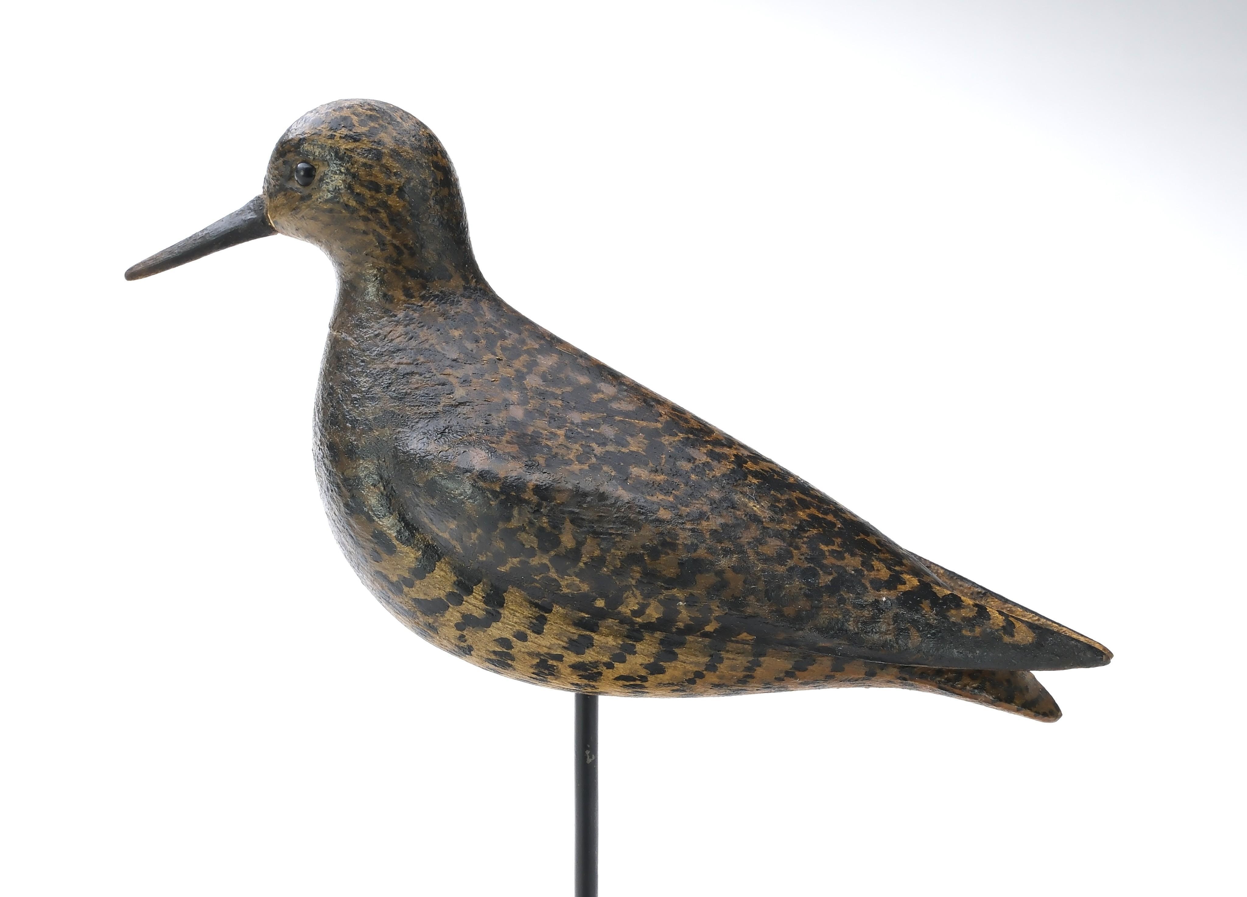 Mark McNair | Dowitcher with split wingtips | MutualArt
