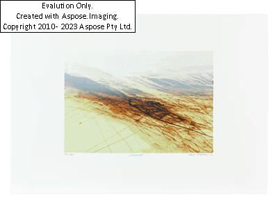 Felix Haspel | 2 Artworks at Auction | MutualArt