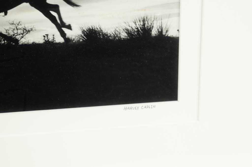 Harvey Caplin | Famed Western photographer Harvey Caplin (American 1914 ...