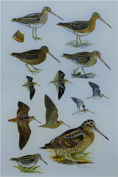 Peter Hayman | Waders 35 | MutualArt