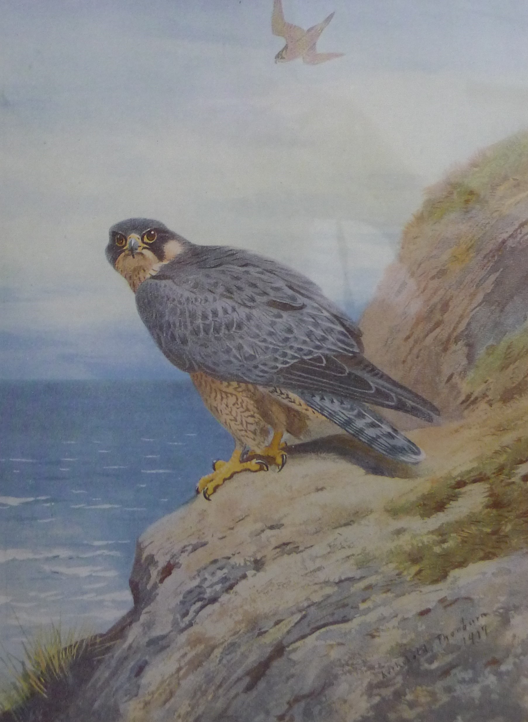 Archibald Thorburn | THORBURN, ARCHIBALD (1860-1935) British (AR ...