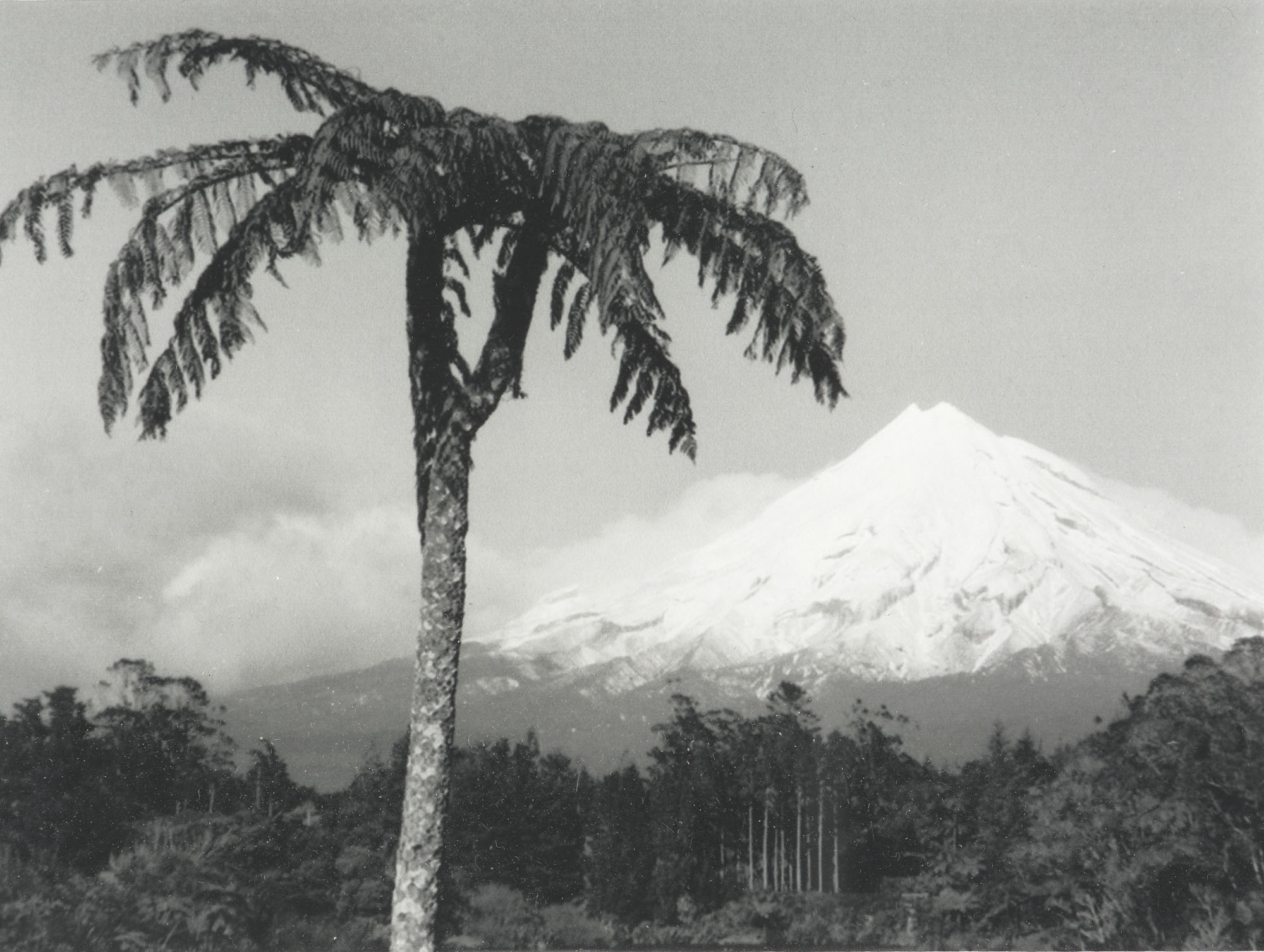 Peter Peryer | Mt Taranaki (2001) | MutualArt