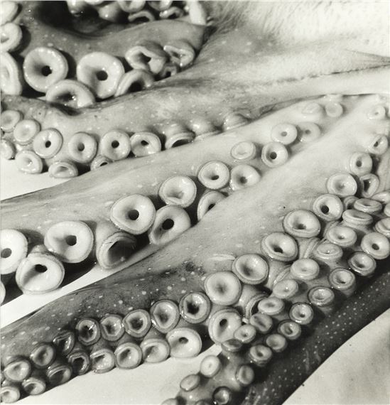 Peter Peryer | Octopus (1985) | MutualArt