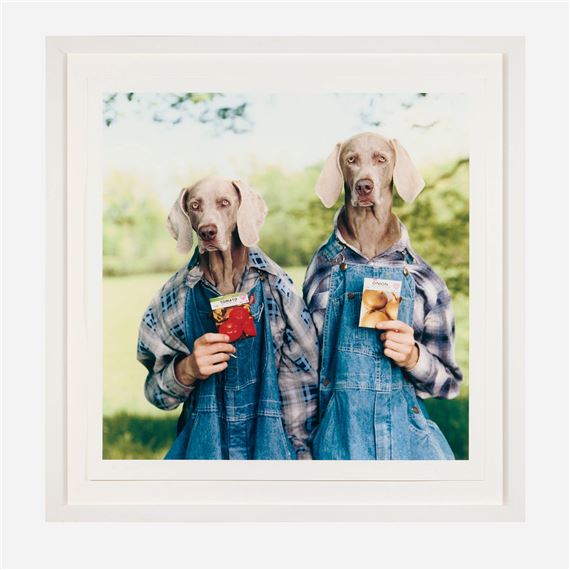 William Wegman | Hope (2002) | MutualArt