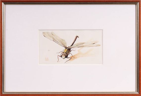 Uwe Bangert | Präzise Darstellung einer Libelle | MutualArt