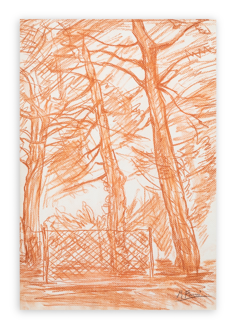 Achille Funi | Bosco in Versilia (1959 - 1960) | MutualArt