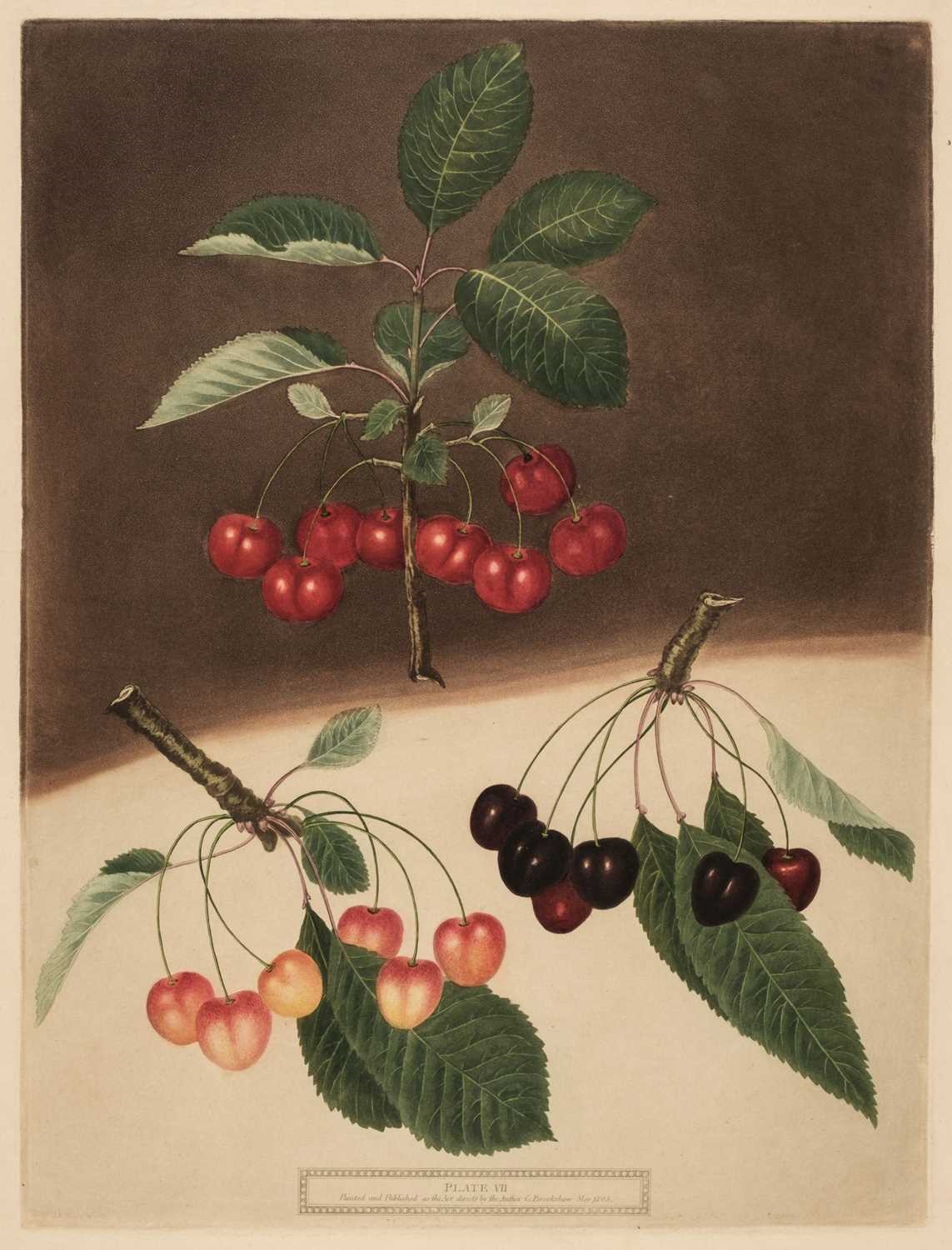 George Brookshaw | Four plates of Fruit (1812) | MutualArt