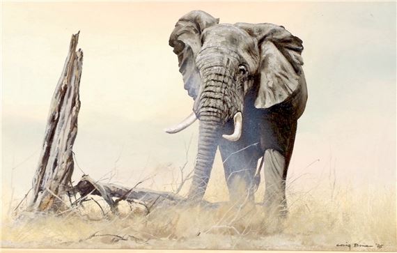 Craig Bone | ELEPHANT BULL (85) | MutualArt