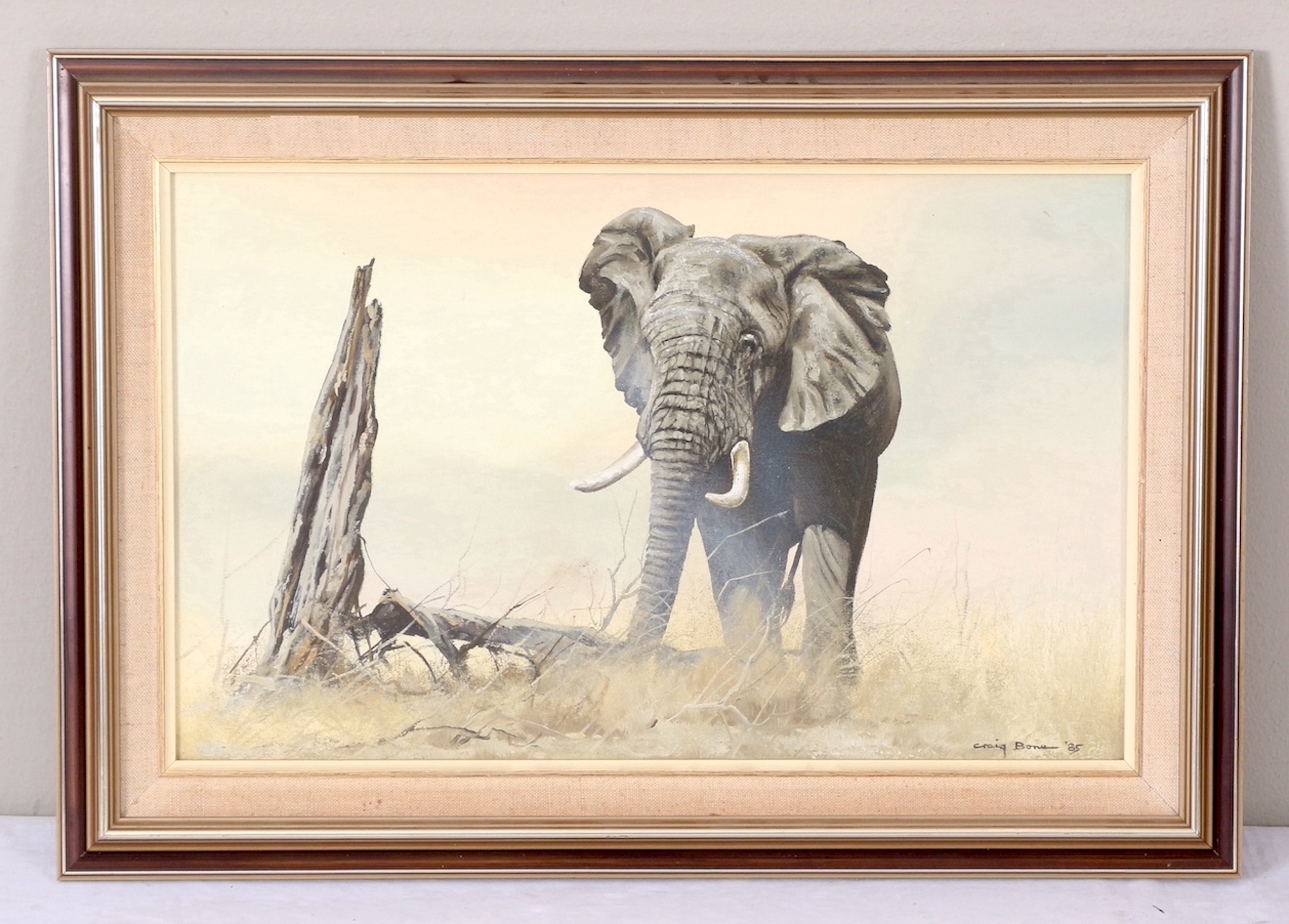 Craig Bone | ELEPHANT BULL (85) | MutualArt