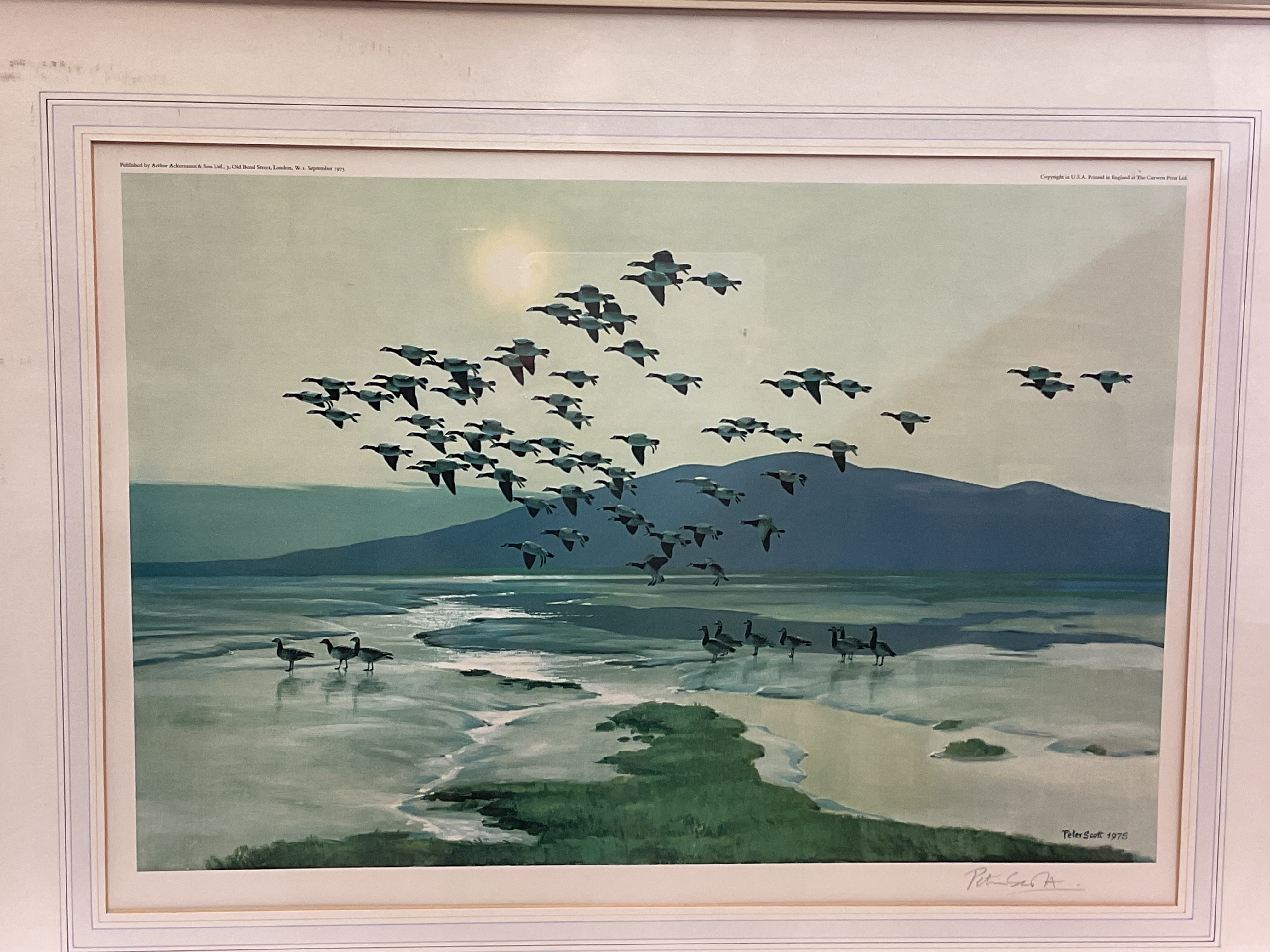 Peter Scott | Barnacles Coming off the Merse at Caerlaverock | MutualArt