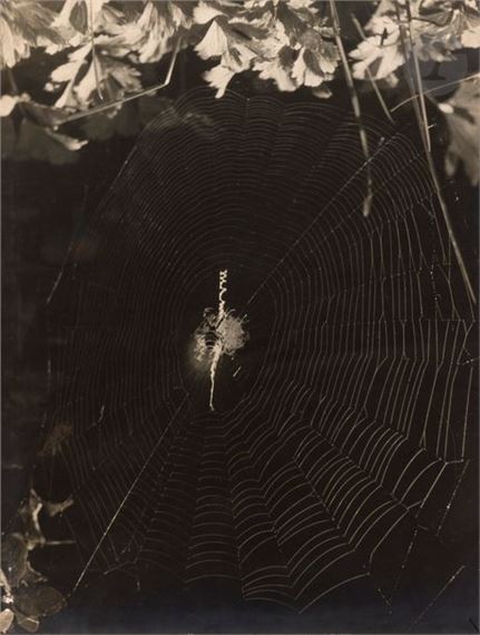 Georgette Chadourne | Still lifes | MutualArt