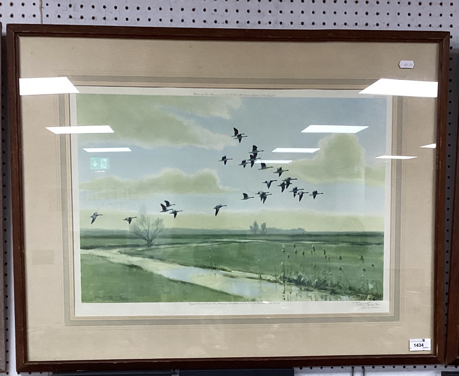 Peter Markham Scott | Pinkfeet on the Green Marshes | MutualArt