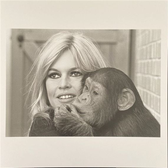 Léonard de Raemy | Brigitte Bardot (2015) | MutualArt