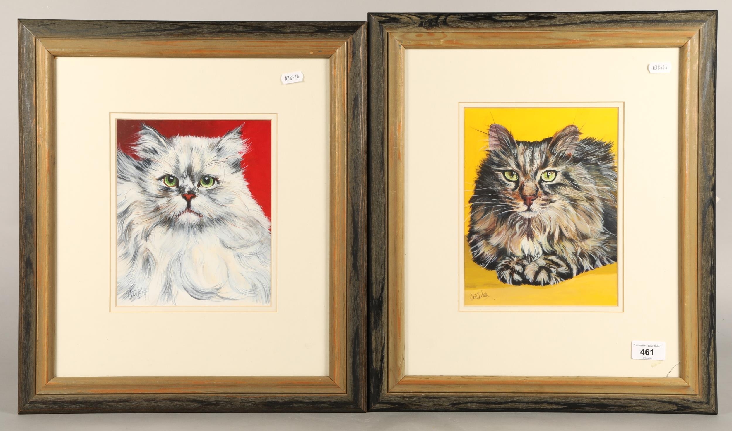 Jan Holak | set of three pencil and watercolour cat portraits (3 ...