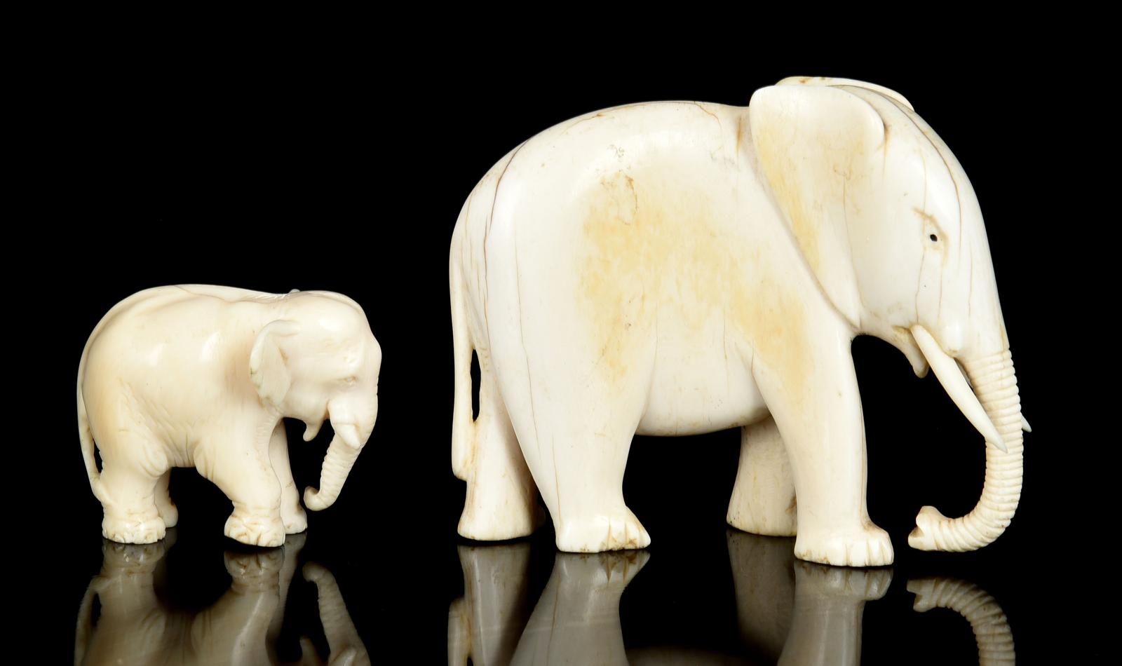 Unknown | Two hand carved ivory elephants of sizes, c. 1950s, heights 4 ...