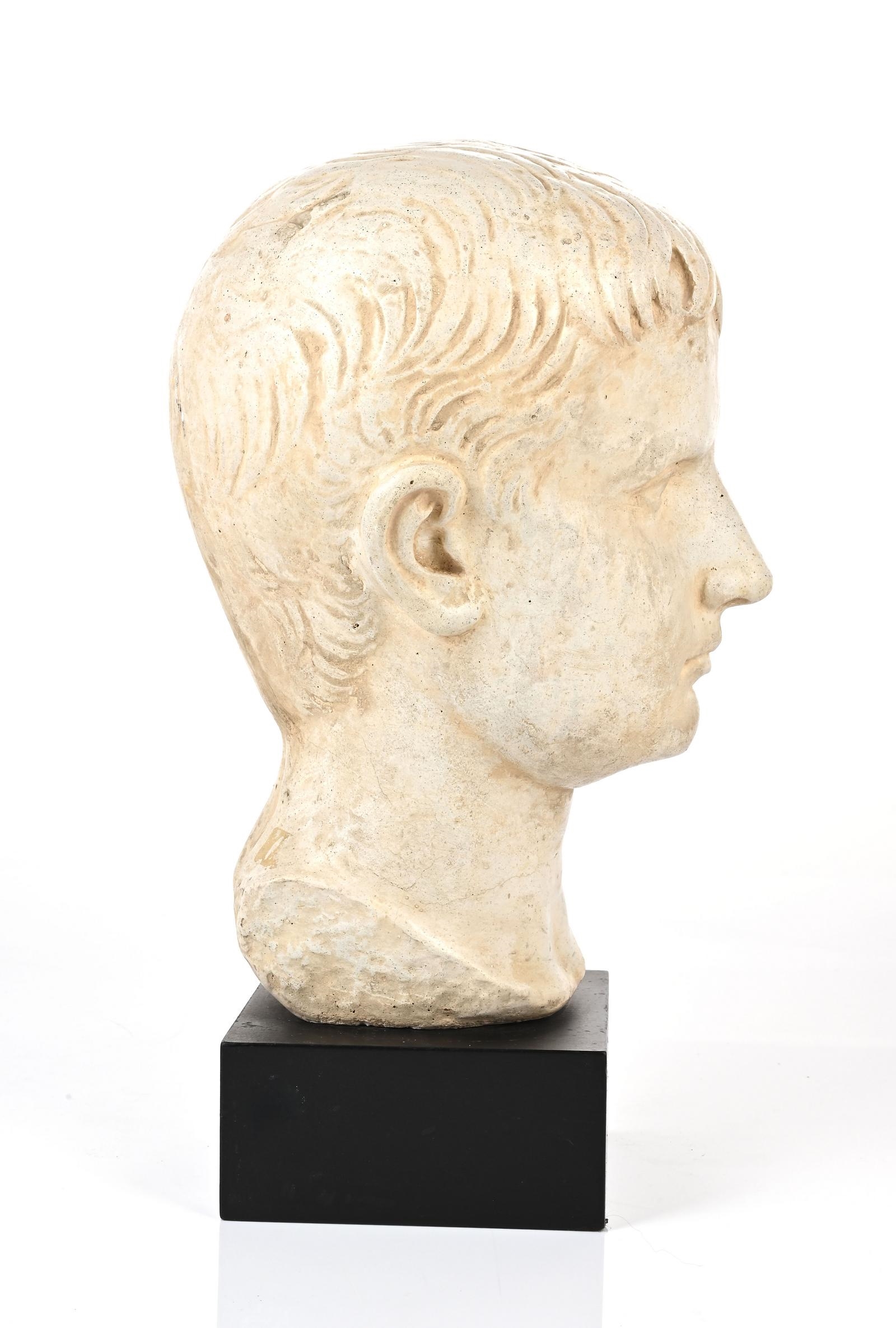 Copyright | Bust of Augustus Ceaser, 1950s, the plaster museum style ...