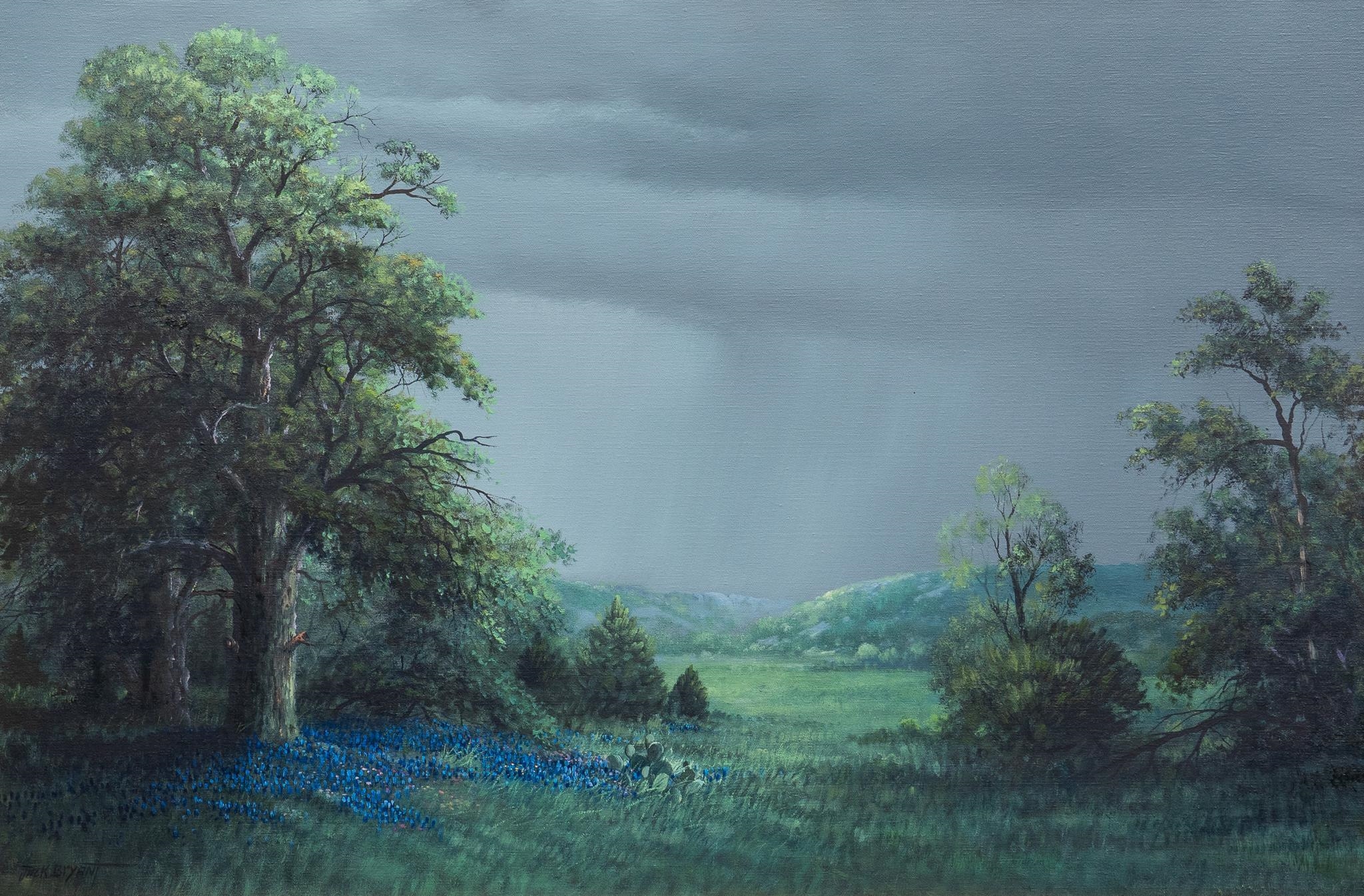 Jack Bryant | stormy bluebonnet landscape | MutualArt
